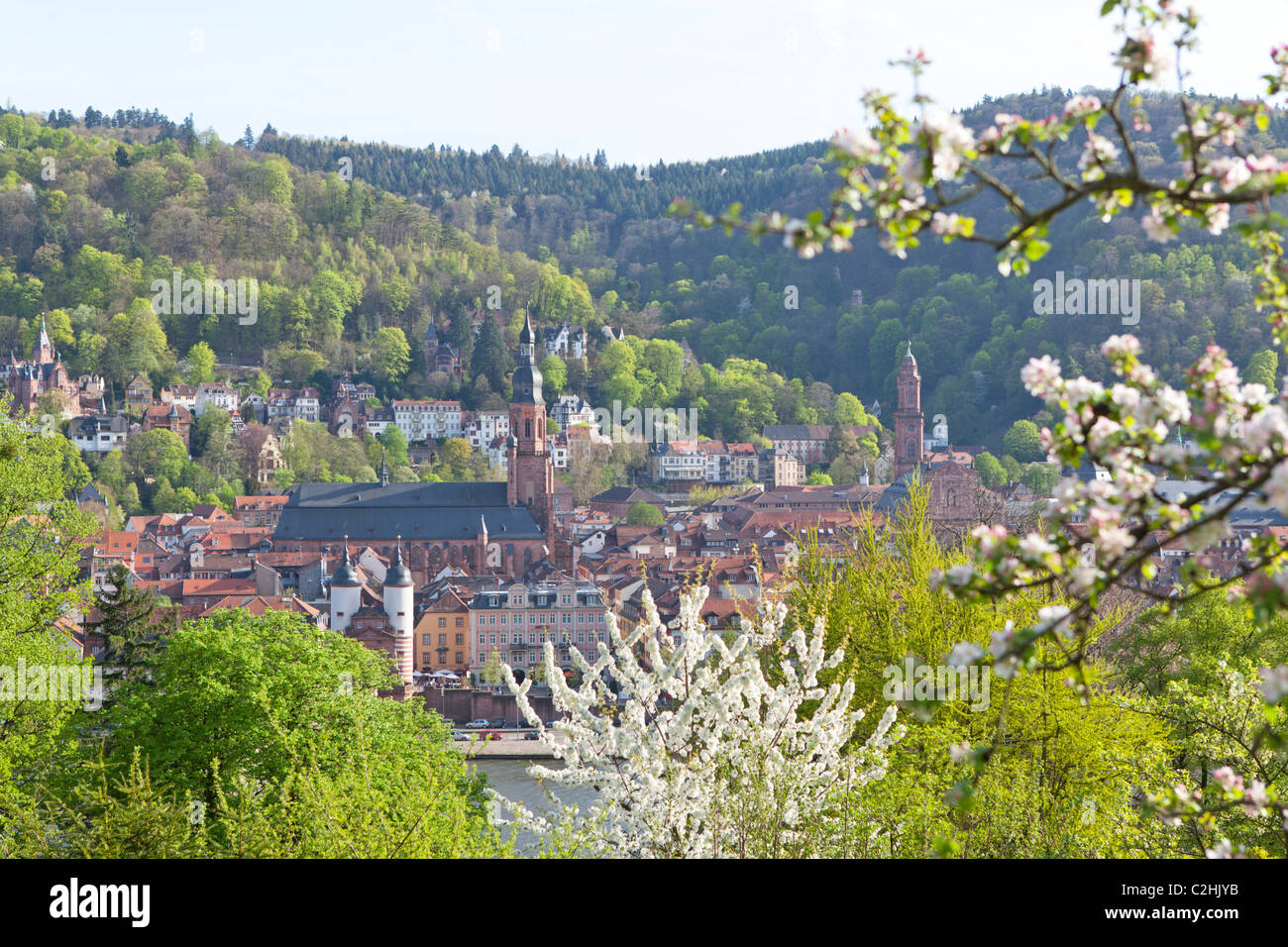 Heidelberg forest hi-res stock photography and images - Alamy