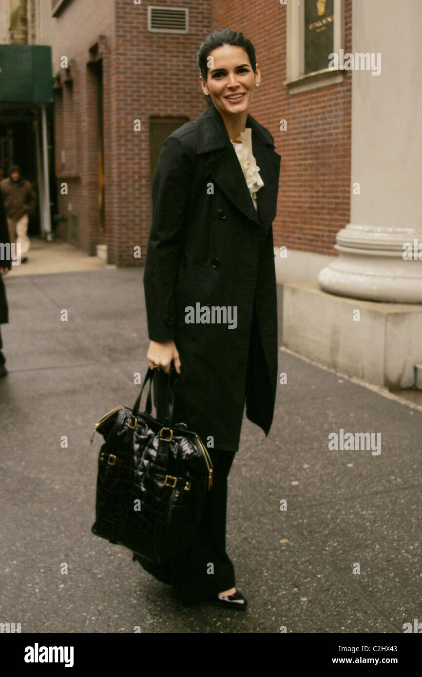 Angie Harmon Mercedes Benz Fashion Week Fall 2008 - Oscar de la Renta ...