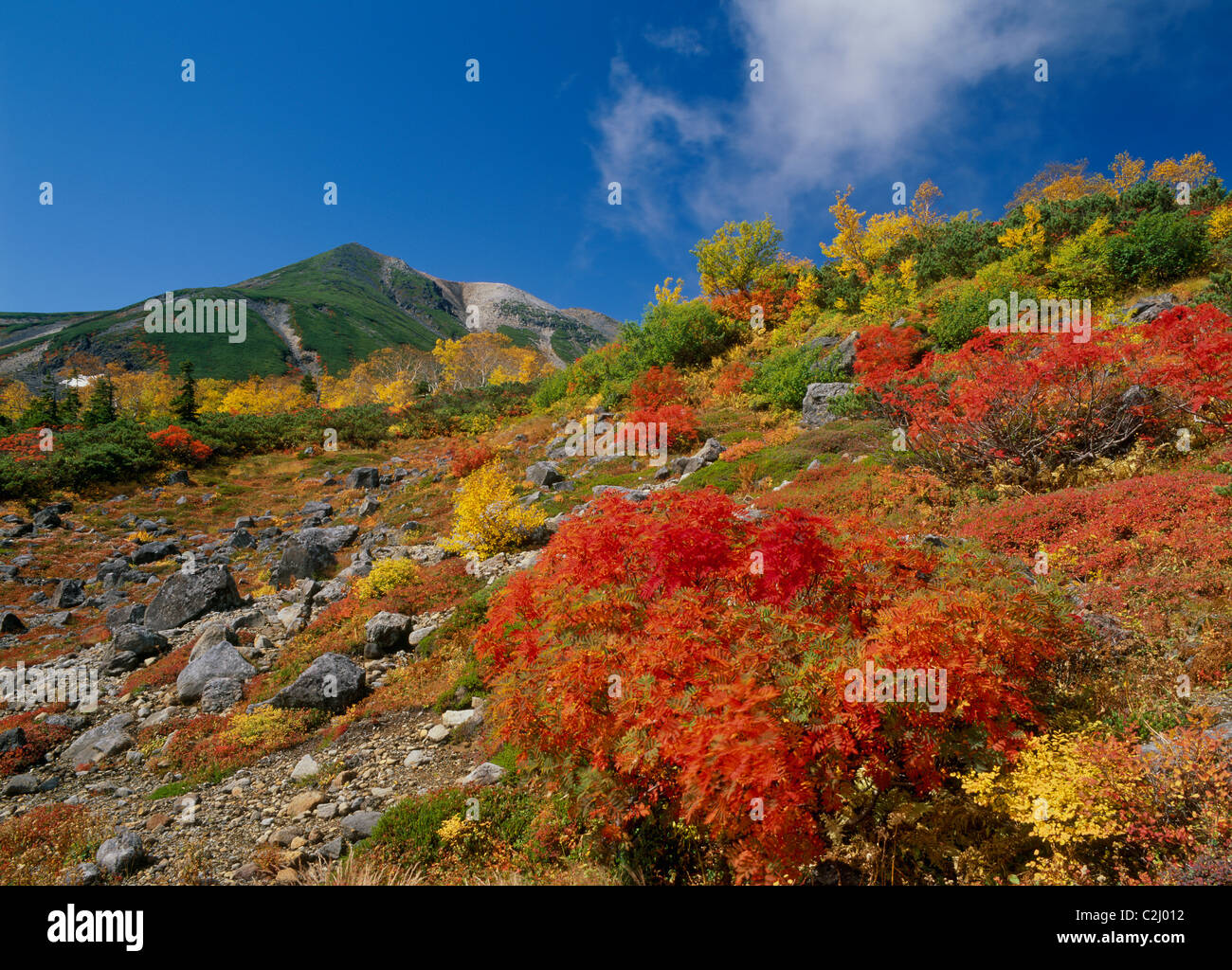 Autumn Leaves, Matsumoto, Nagano, Japan Stock Photo - Alamy
