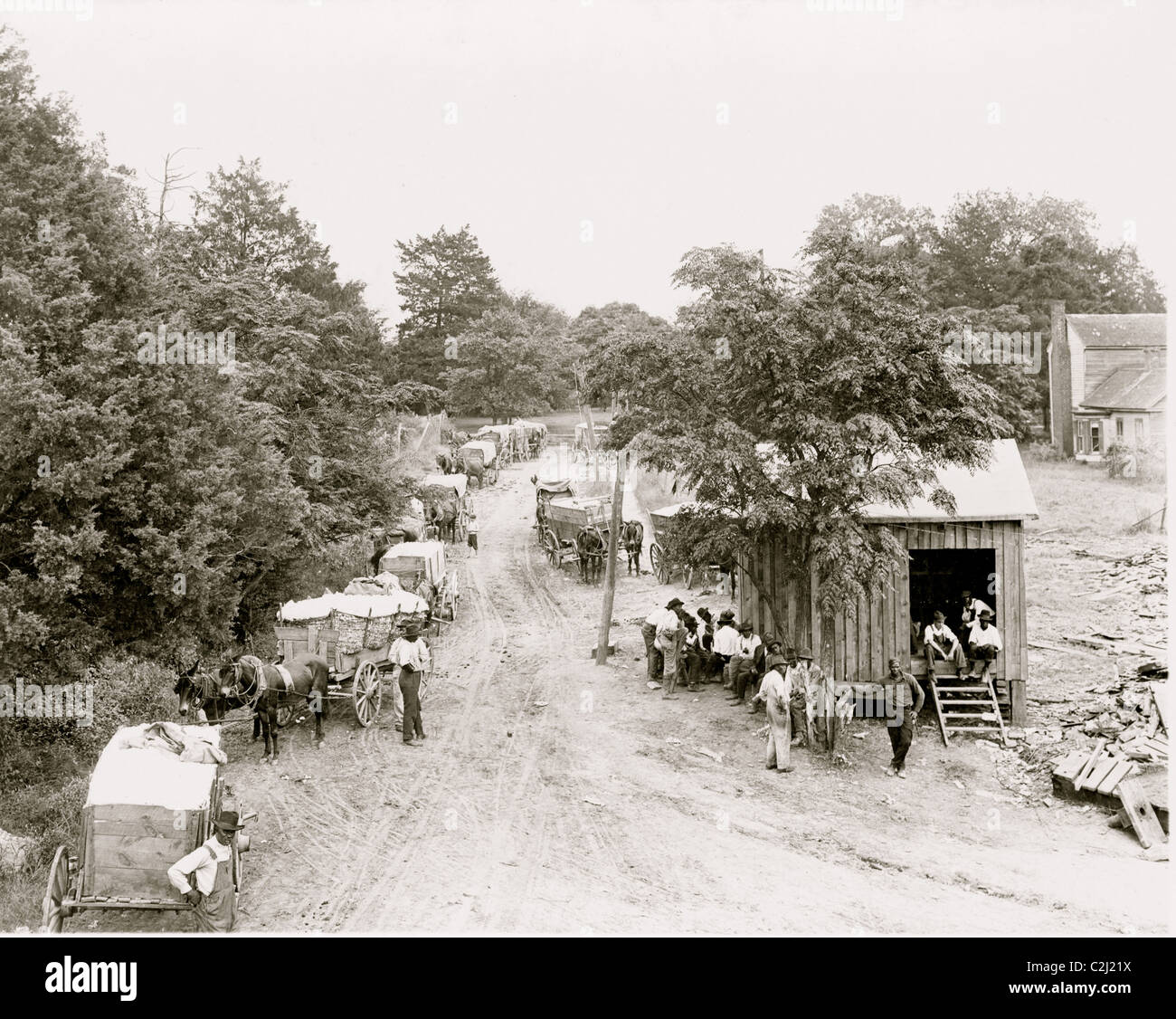 Cotton Wagons Stock Photos & Cotton Wagons Stock Images - Alamy