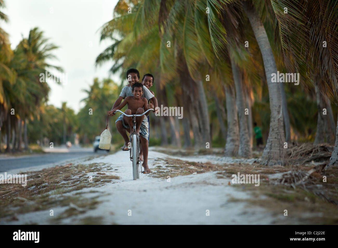 Three native island boys riding one bicycle down island coral, palm ...