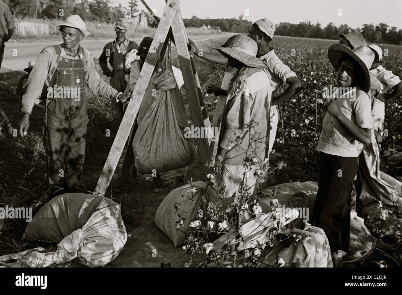 Cotton weighing scale hi-res stock photography and images - Alamy