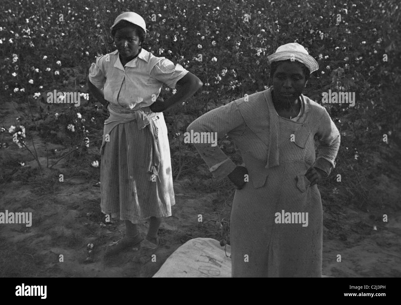 Sharecroppers hi-res stock photography and images - Alamy