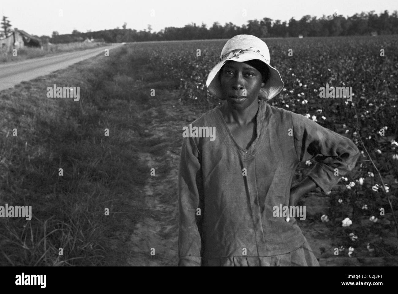 African American Sharecroppers Stock Photo - Alamy