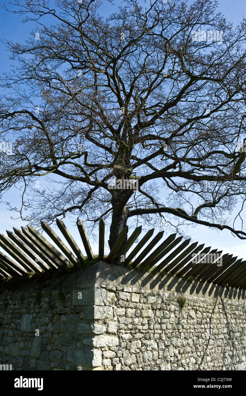 Spikes arranged along the top of a wall at Upnor Castle. Photograph by ...