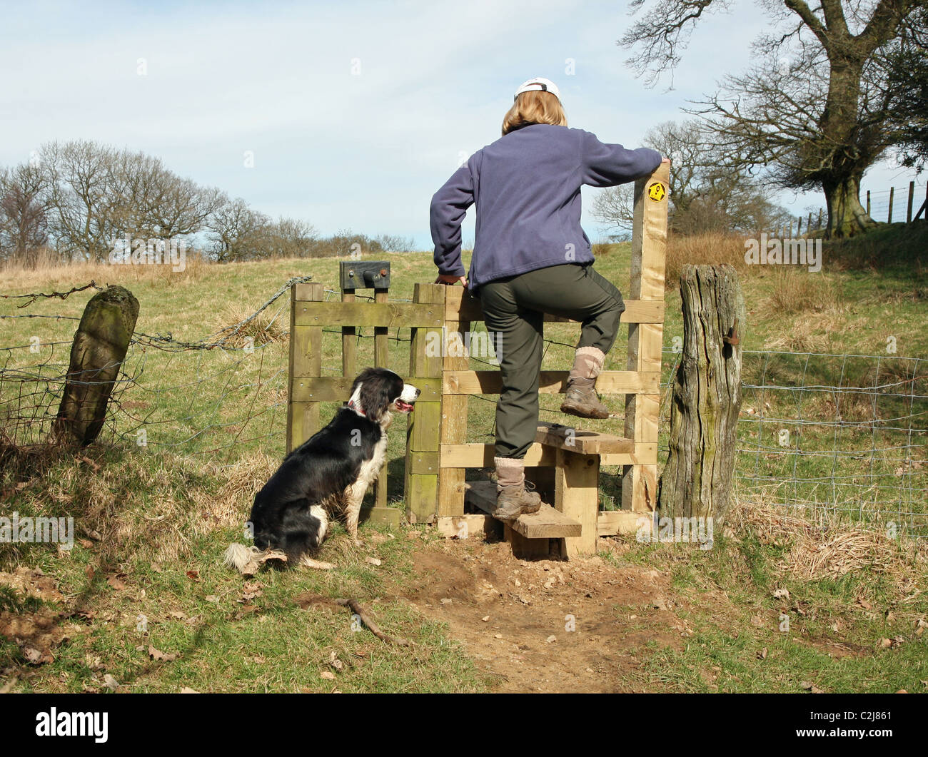 Dog stile hi-res stock photography and images - Alamy