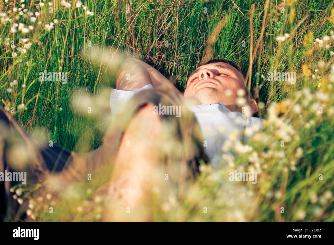 young adult man in spring grass Stock Photo - Alamy