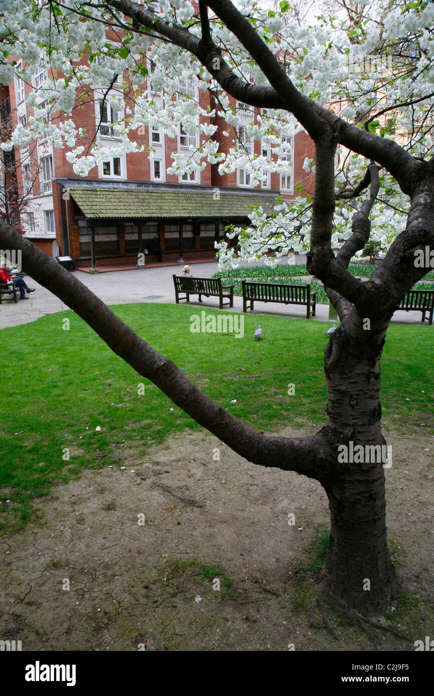 Looking towards the Watts Memorial in Postman's Park, City of London ...