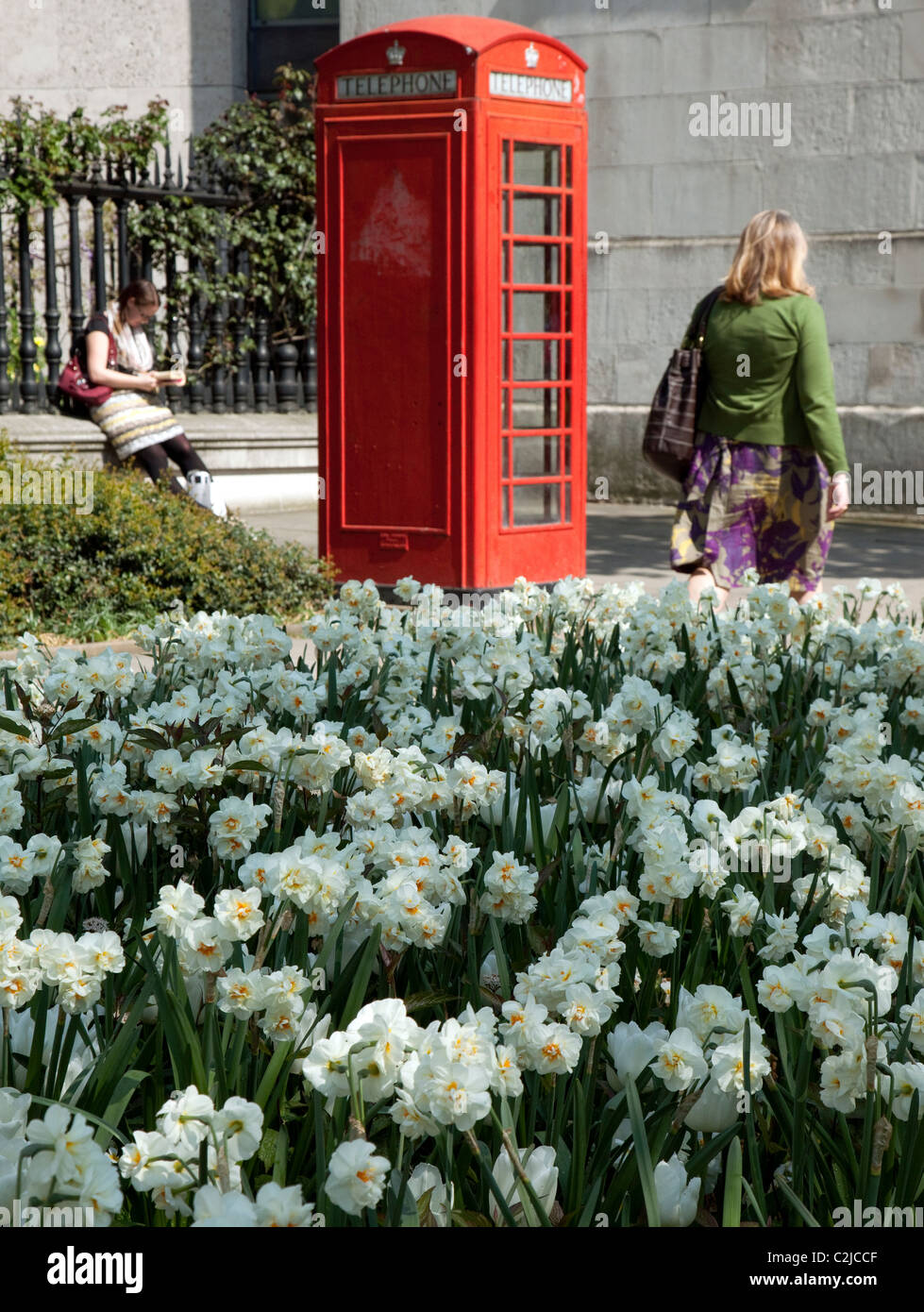 Spring flowers and sunshine in central London Stock Photo - Alamy