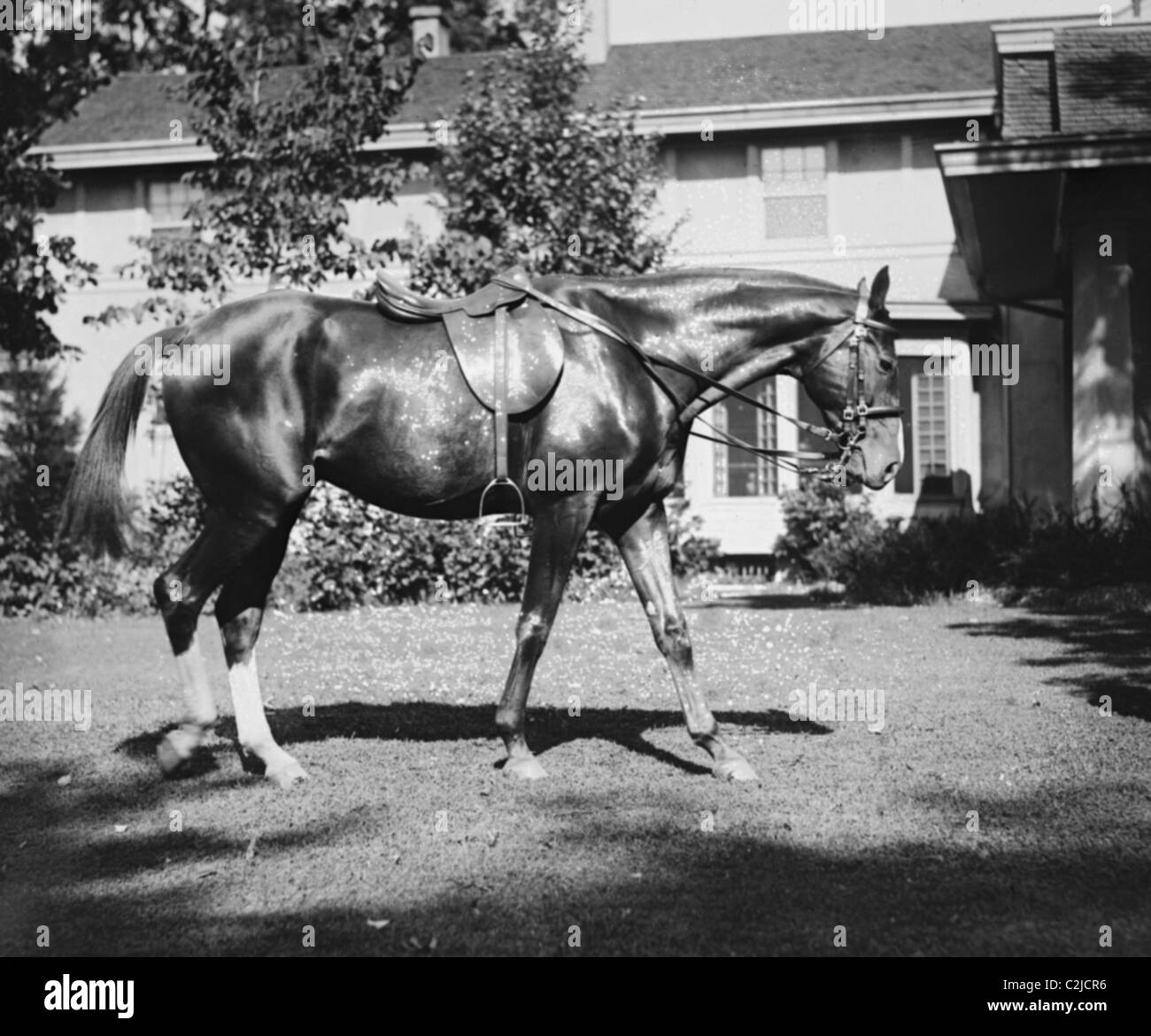 A team of Firefighters with Hoses on Their backs climbs a ladder Stock ...