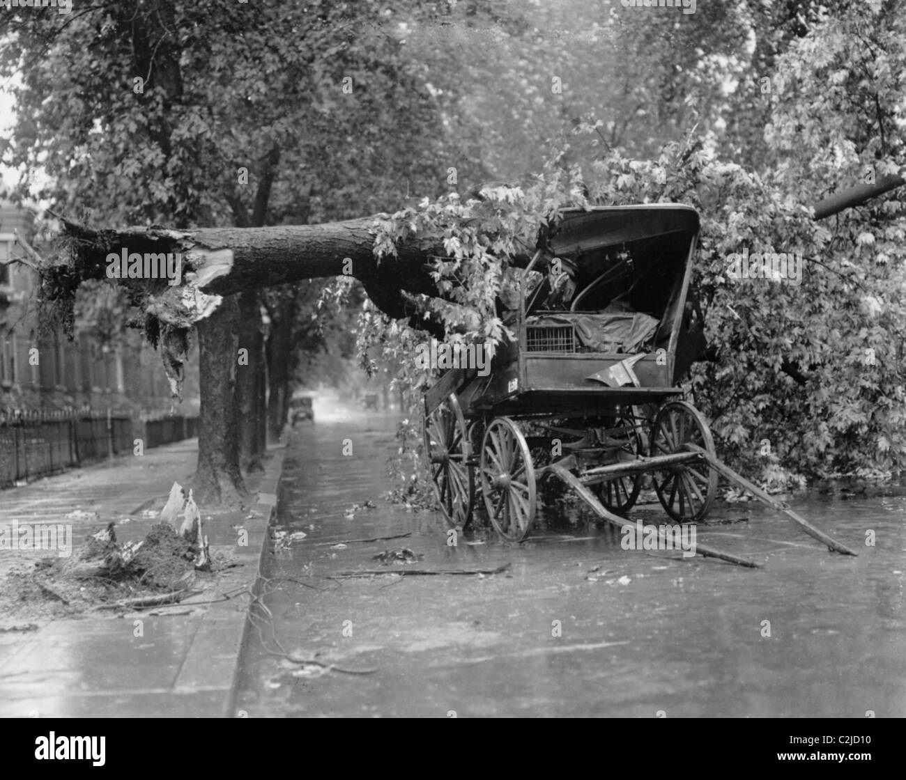Young Man pulls wagon by a Chain in His mouth; he is harnessed Stock ...