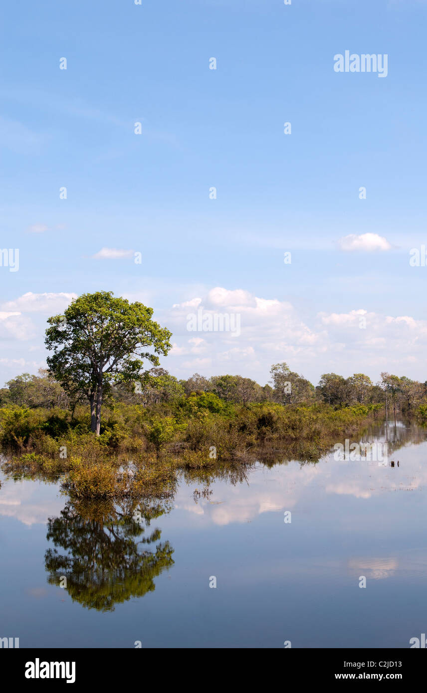 Baray hi-res stock photography and images - Alamy