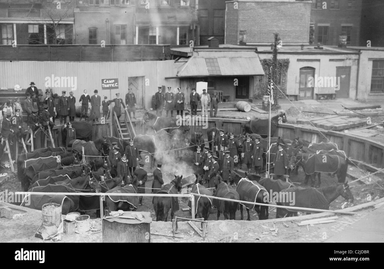 Corralled Police Horses in an Below Ground Pen prepare for strike ...
