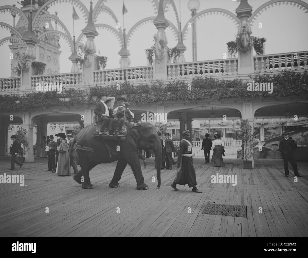 Indian coney Black and White Stock Photos & Images - Alamy