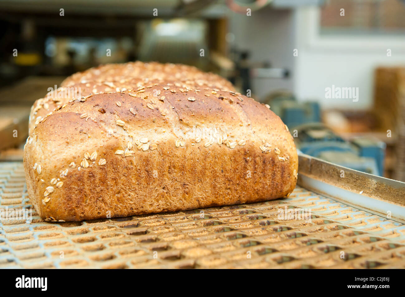 Loafs of bread being made in a factory Stock Photo - Alamy