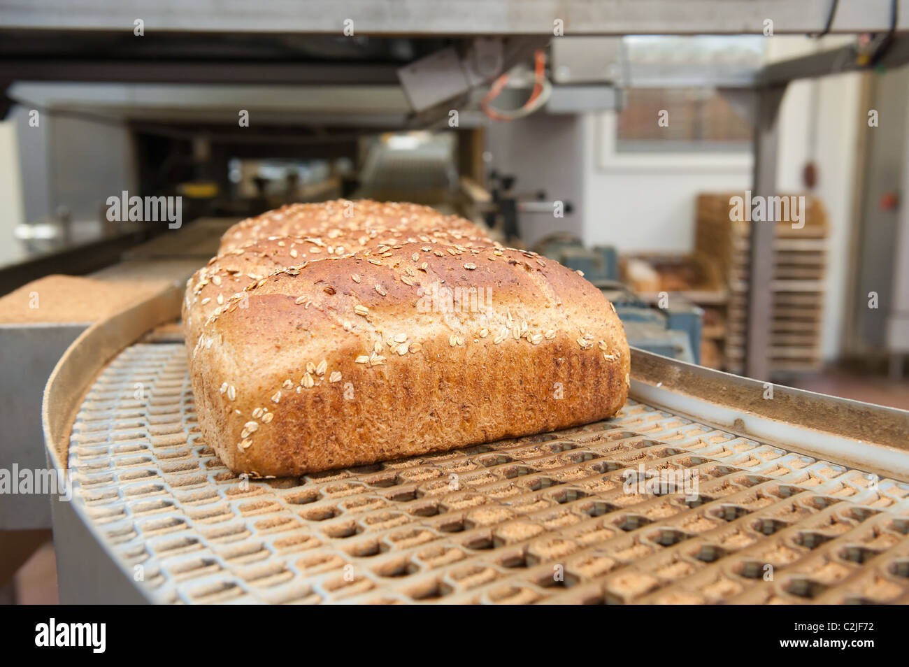 Loafs of bread being made in a factory Stock Photo - Alamy