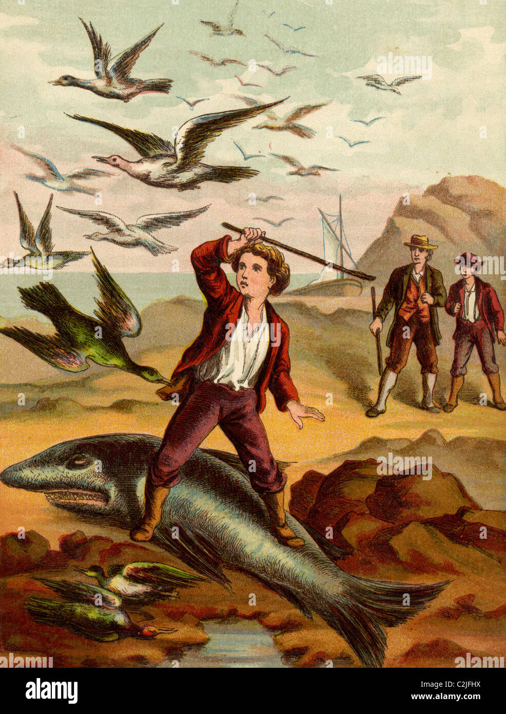 Chasing Birds from a Beached shark Stock Photo - Alamy