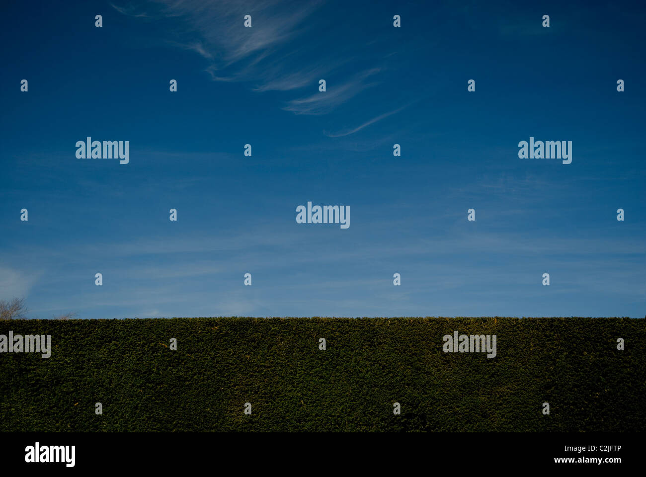 Blue sky green hedge hi-res stock photography and images - Alamy