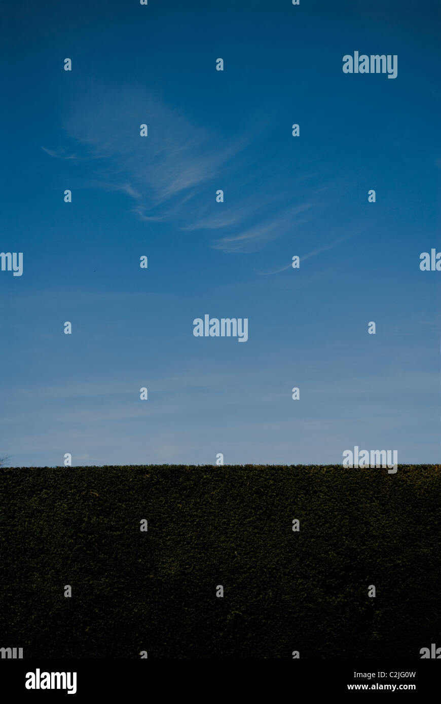 Hedge, blue sky and wispy clouds with space for text Stock Photo - Alamy