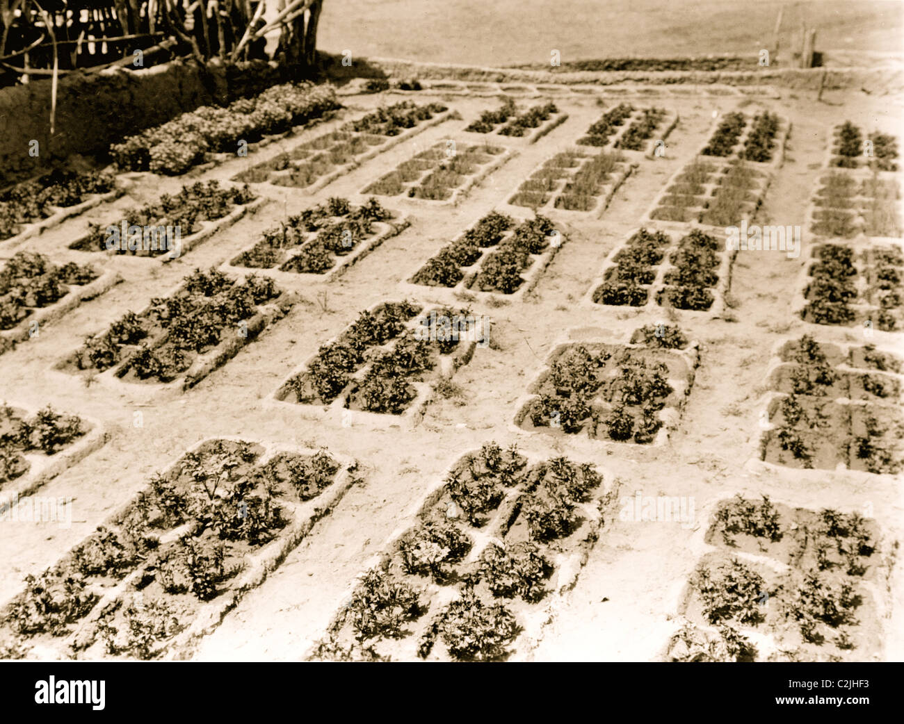 Zuni pueblo gardens hi-res stock photography and images - Alamy