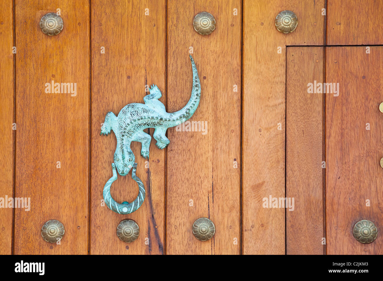 Lizard Door Knocker High Resolution Stock Photography and Images - Alamy
