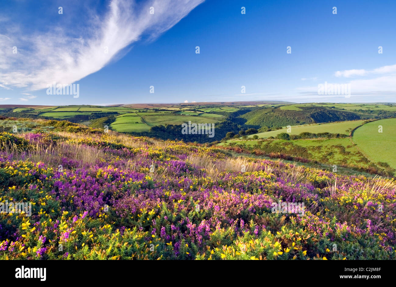 Exmoor national park hi-res stock photography and images - Alamy