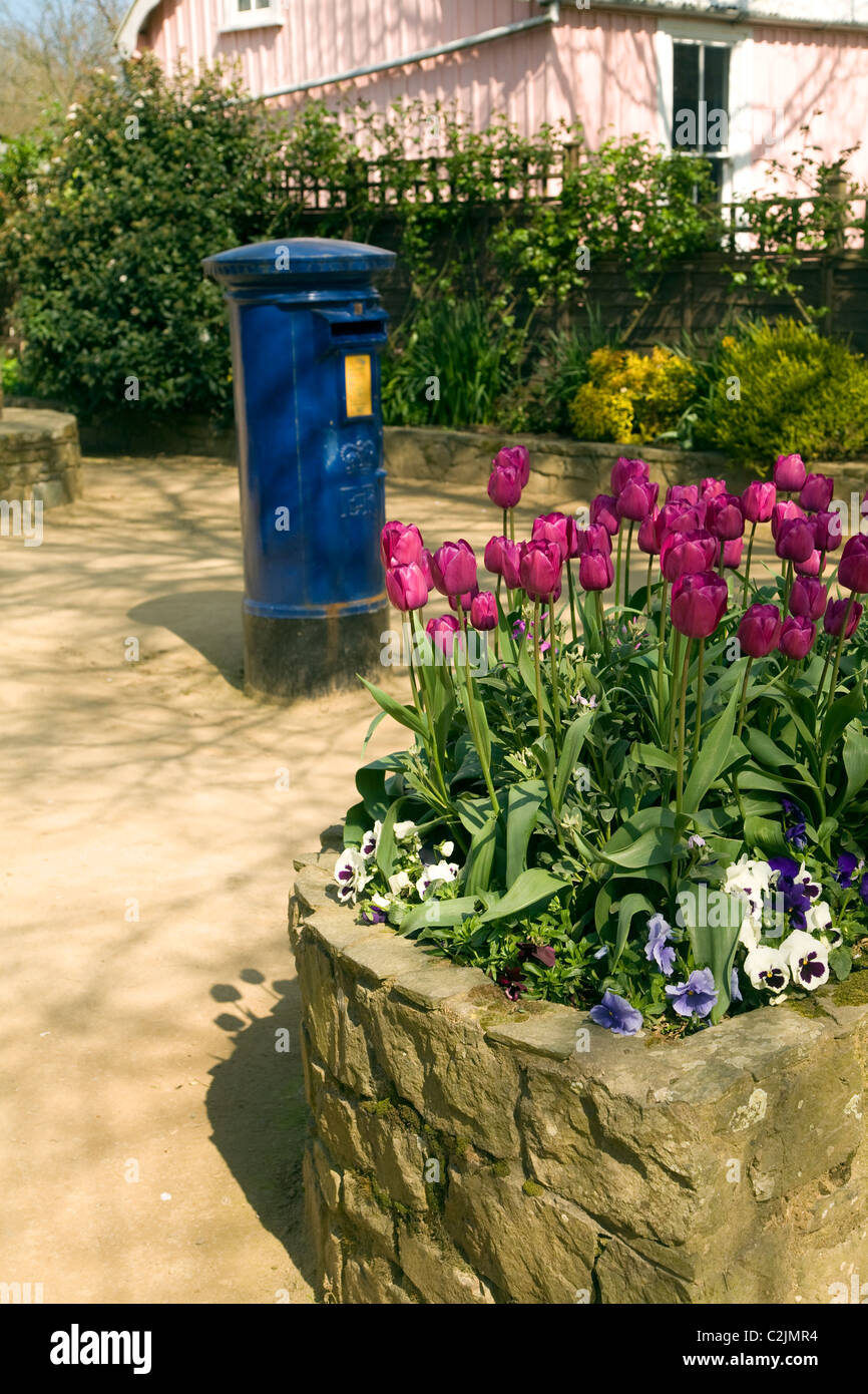 Blue letter box tulip flowers island Sark Channel Islands Stock Photo ...
