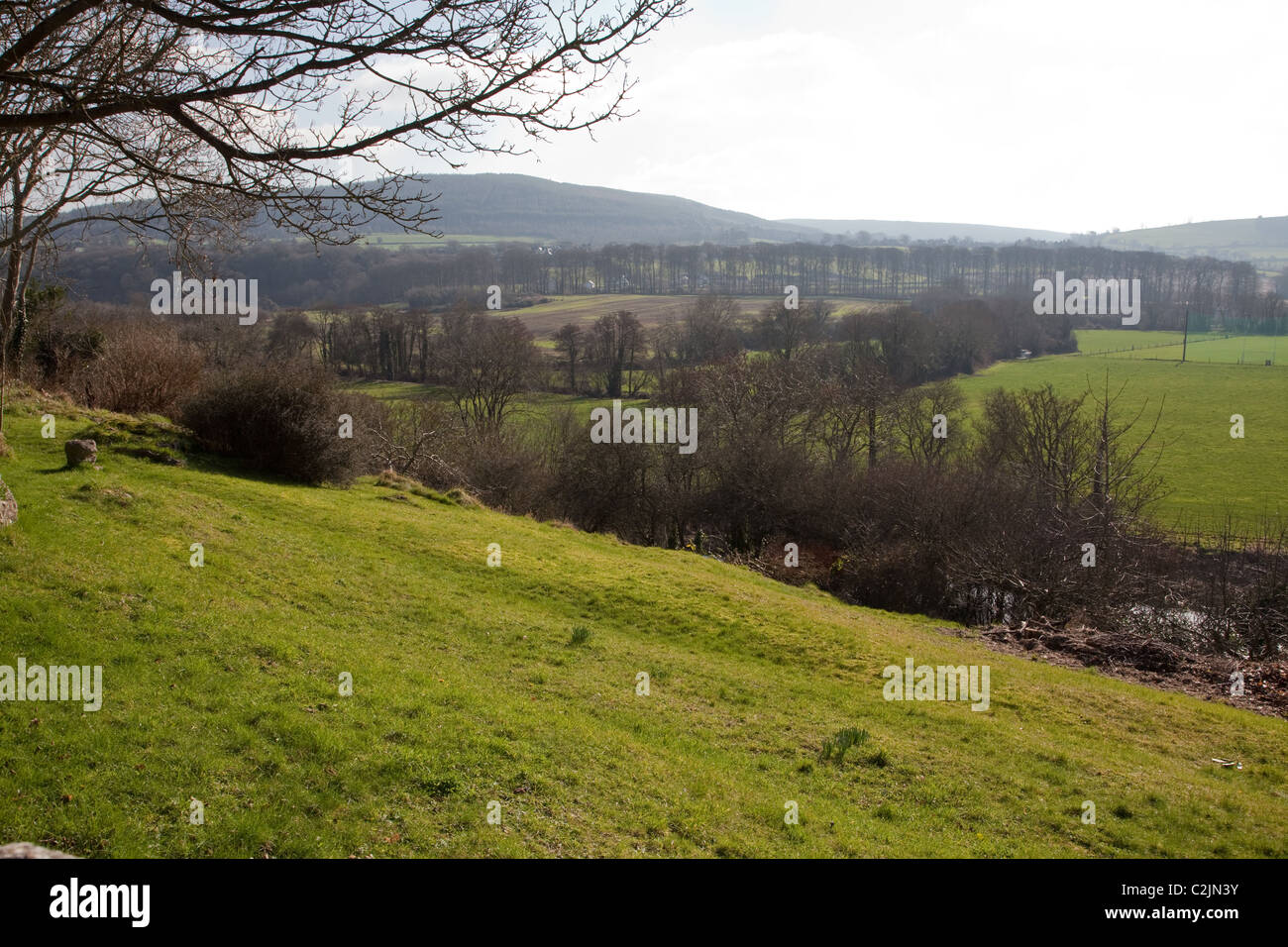 rolling green hills of castletownroche ireland Stock Photo - Alamy