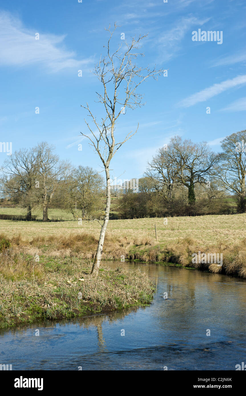 The River Rye flowing between Upper and Lower Slaughter in the ...