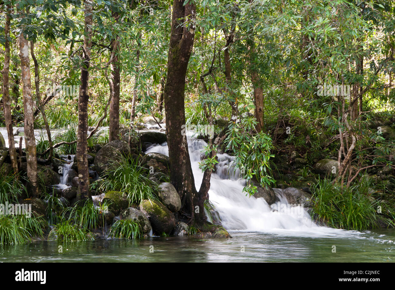 Falls along the Mossman River, Silky Oaks Lodge, Mossman, Queensland ...