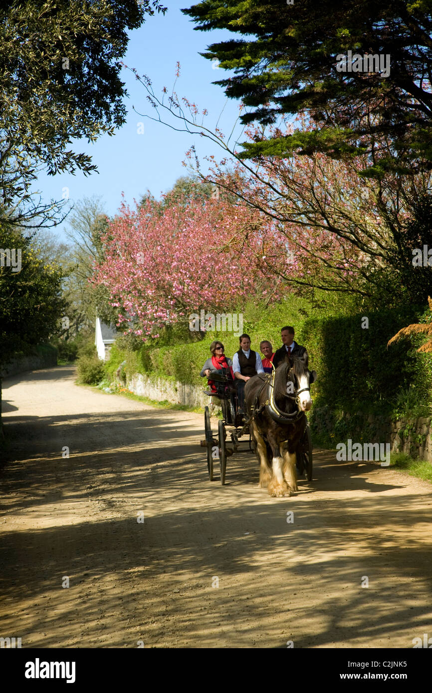 Island of sark hi-res stock photography and images - Alamy
