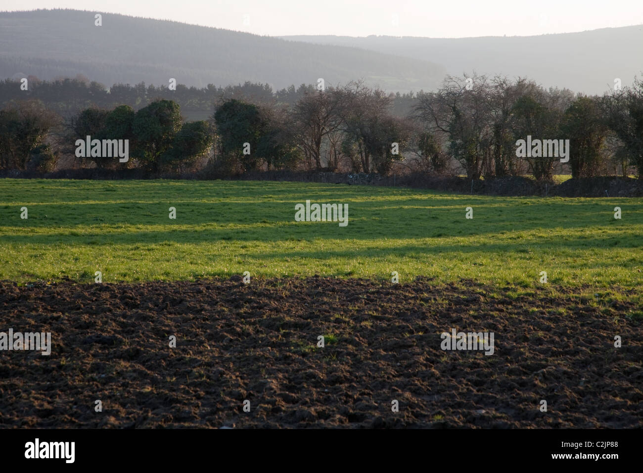 sunset over pasture in Ireland Stock Photo - Alamy