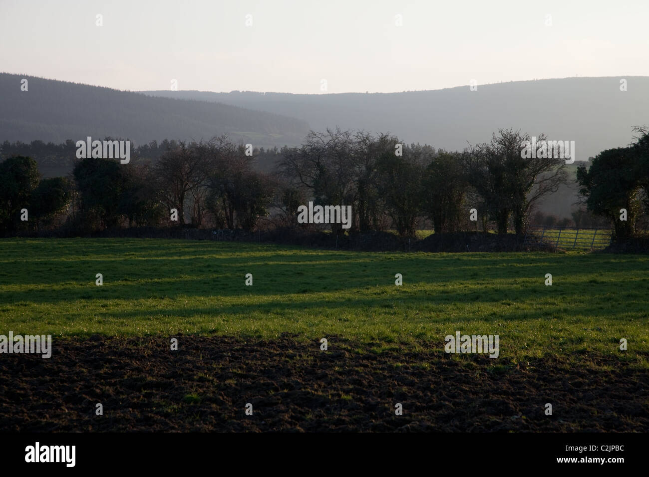 Sunset over fields in Castletownroche, Ireland Stock Photo - Alamy