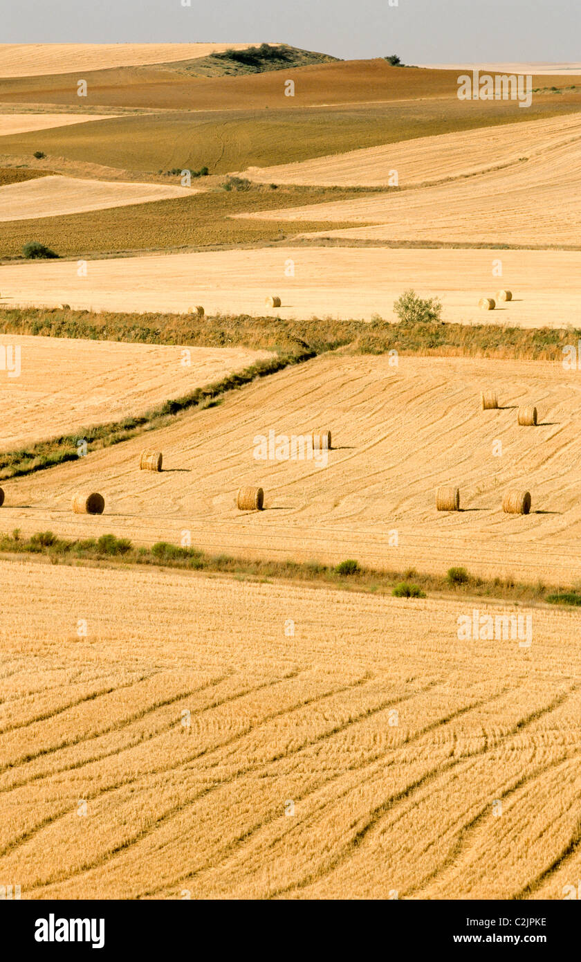 Dry farming, León, Spain Stock Photo - Alamy