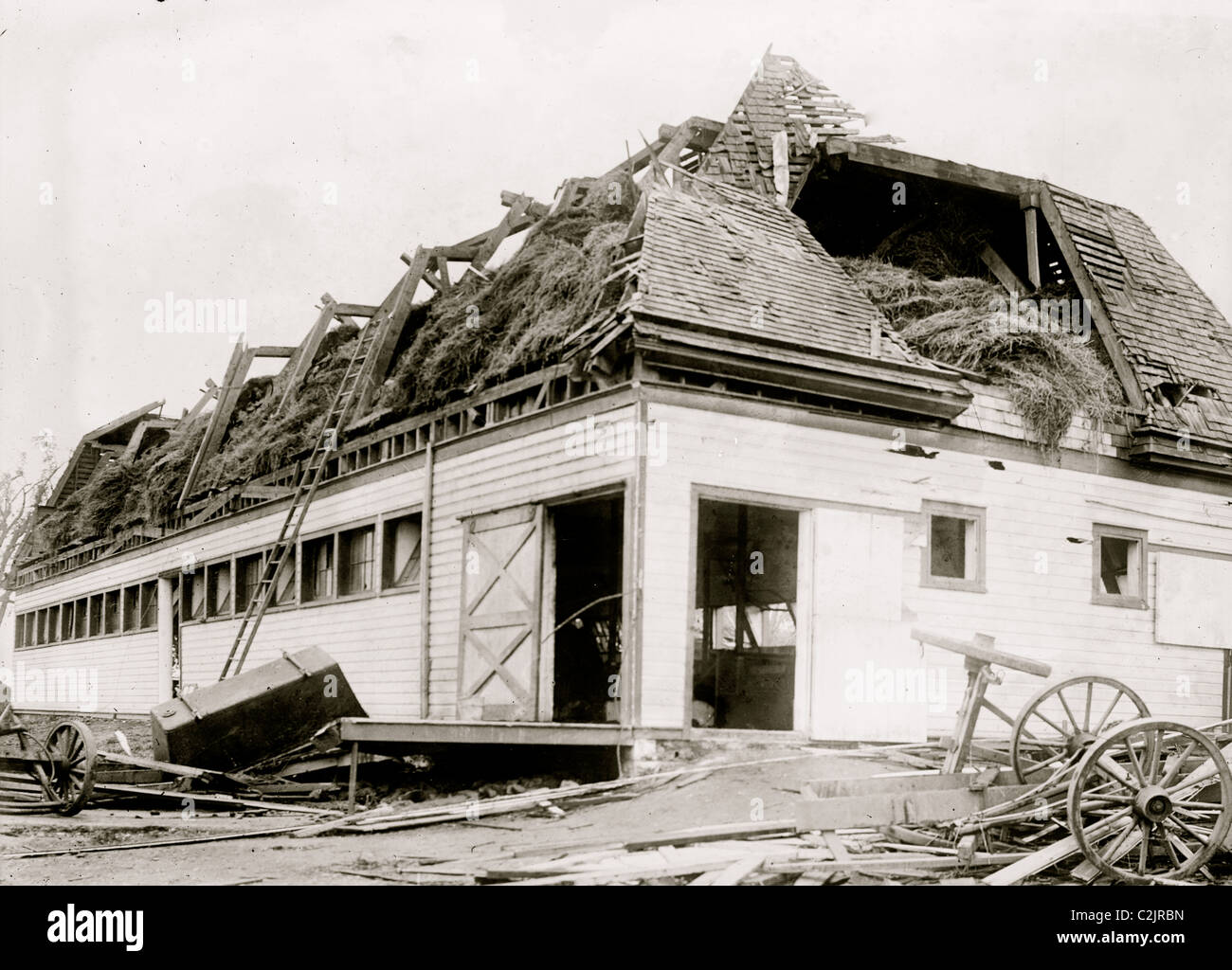 Tornado cow hi-res stock photography and images - Alamy