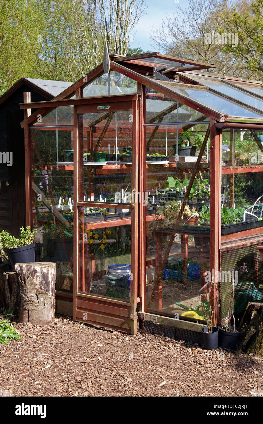 Timber Frame Greenhouse Wooden Tall Greenhouse High Quality With 2