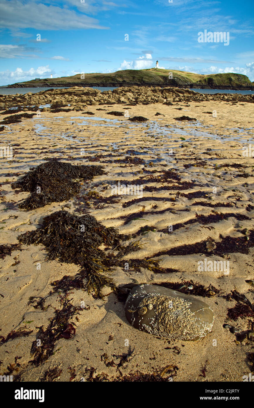 Little ross island hi-res stock photography and images - Alamy