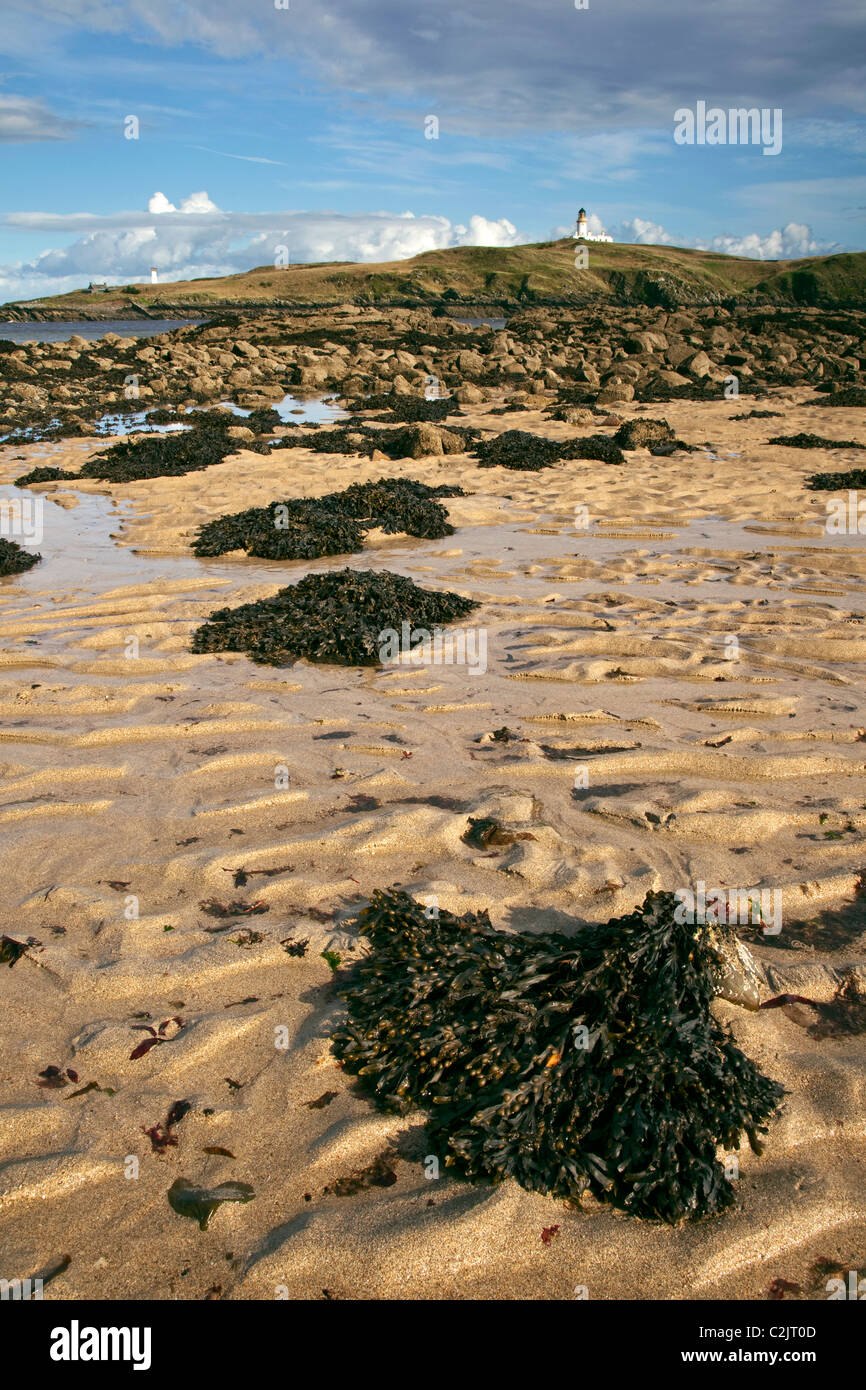 A view across the beach towards the lighthouse on Little Ross Island ...