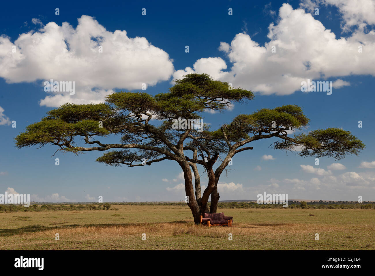 recreation area on a couch under a tree in wilderness of Nduara ...