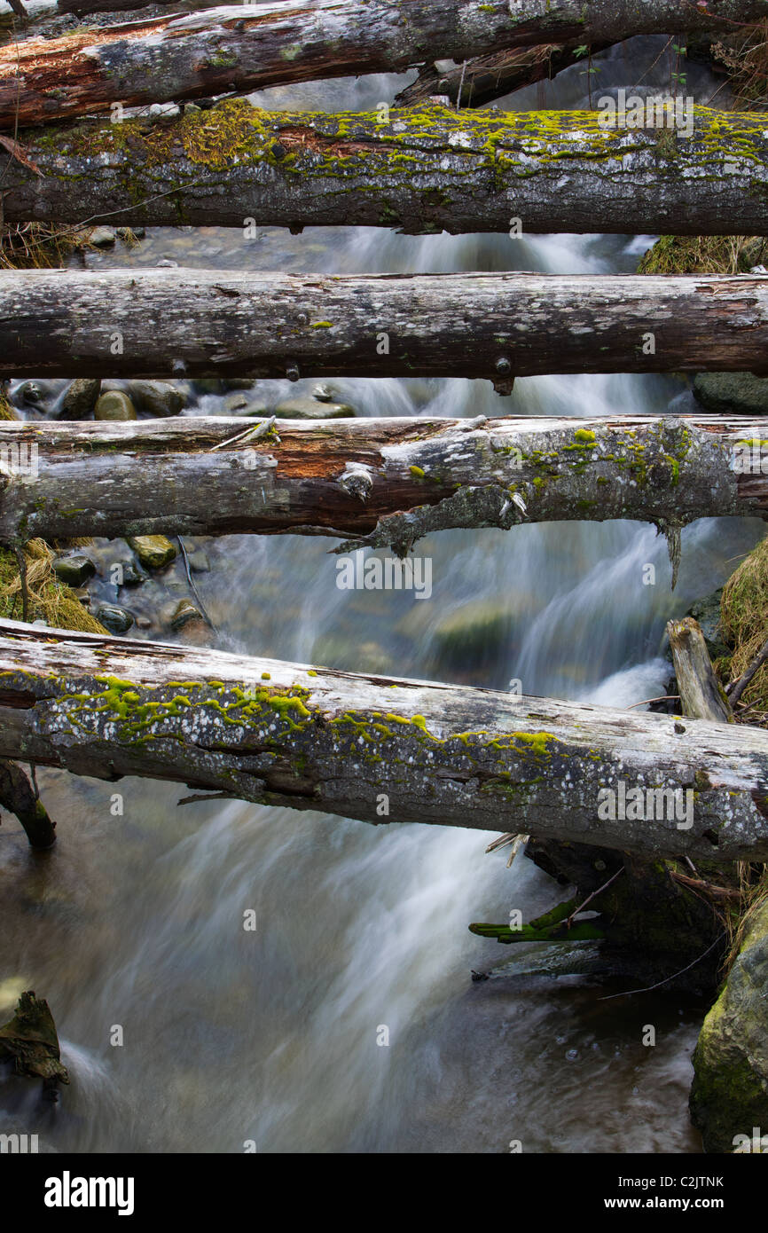 Water over waterfall fallen tree hi-res stock photography and images ...