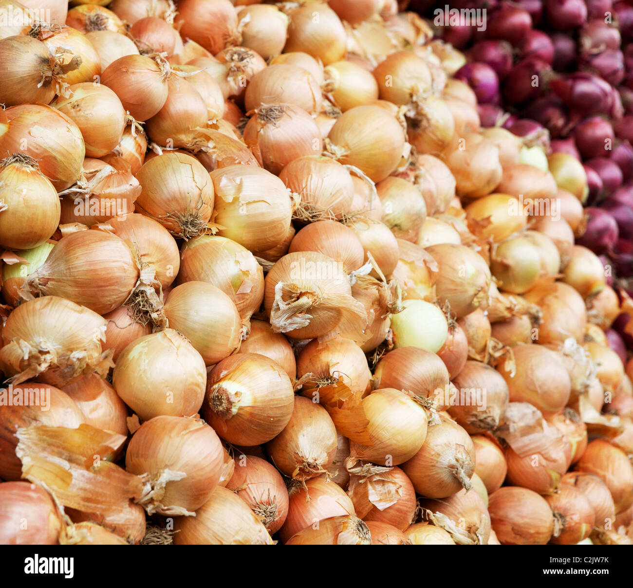 Gigantic pile of yellow onions with red onions in background at a ...