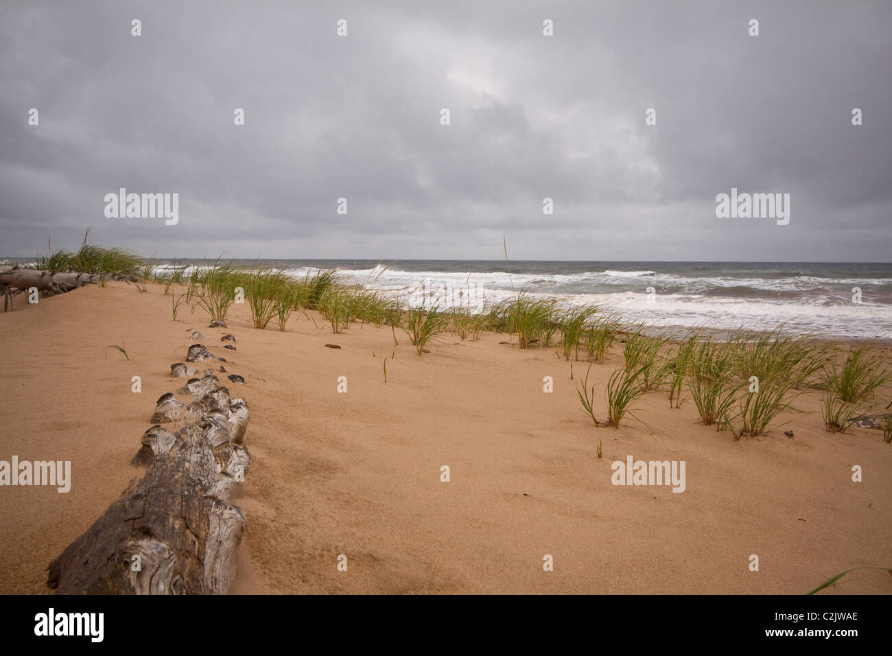 Windswept coastal landscape near Cavendish, Prince Edward Island ...