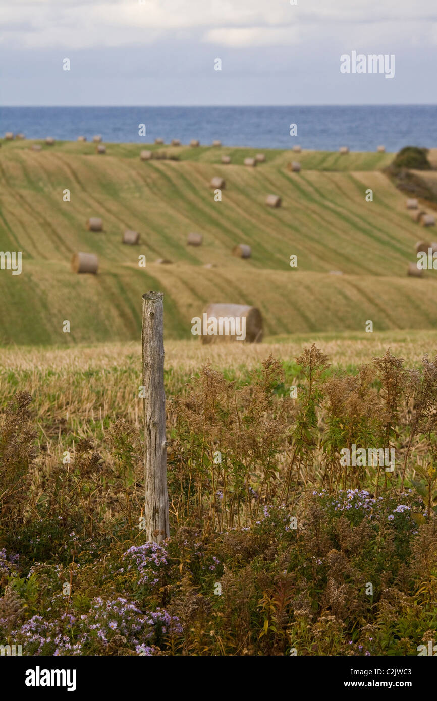 PEI rural scenes, Central Coastal Drive of Prince Edward Island, Canada ...
