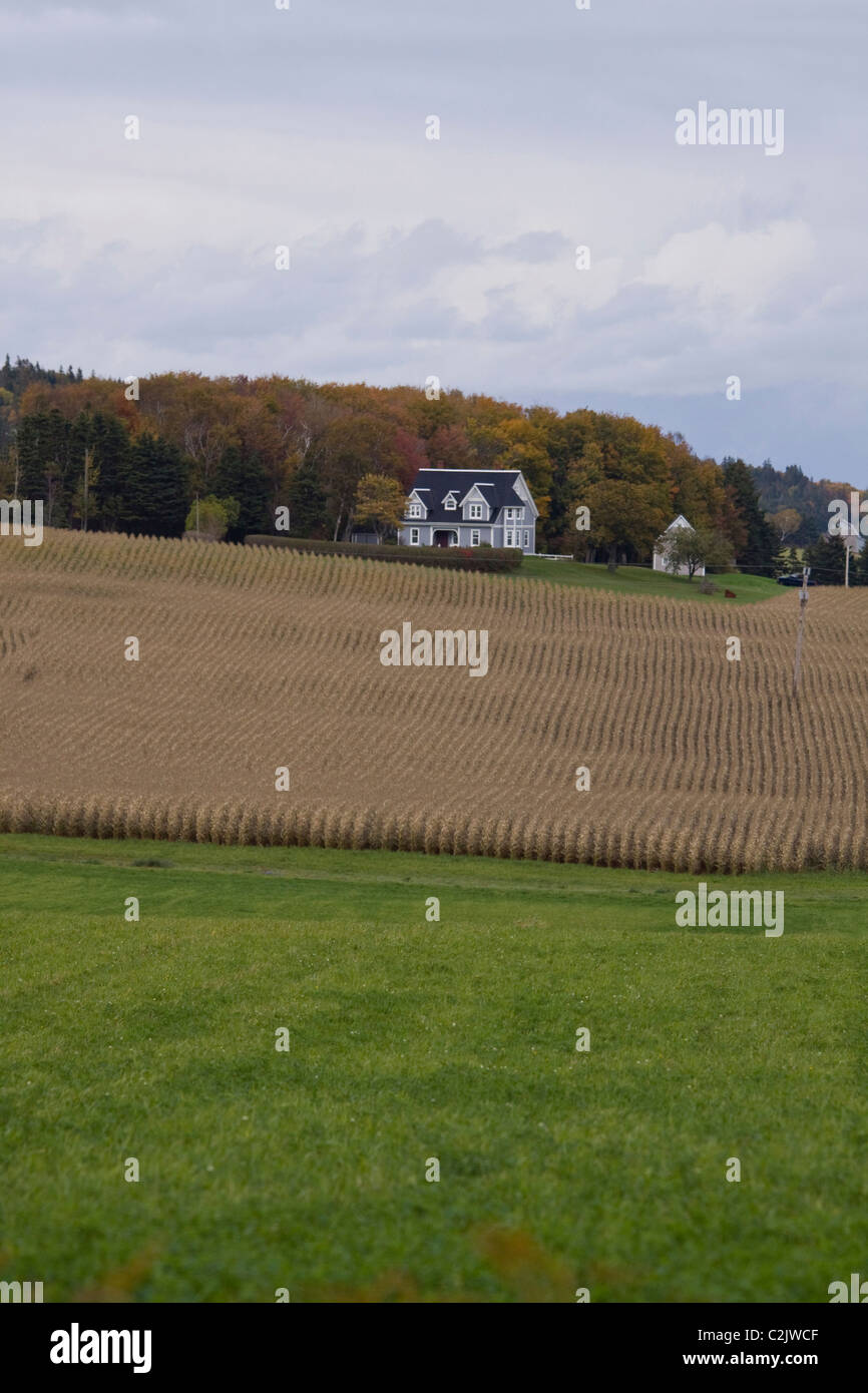 Prince edward island countryside hi-res stock photography and images ...