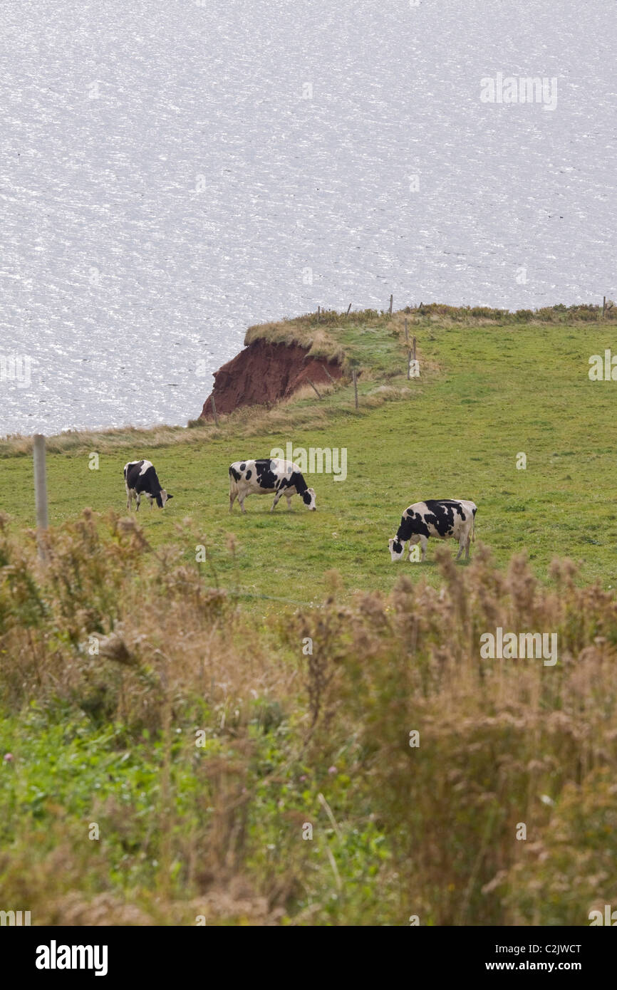 Prince edward island countryside hi-res stock photography and images ...