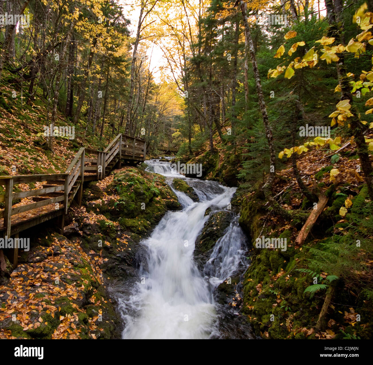 Beautiful Dickson Falls with boardwalk along stream, Fundy National ...