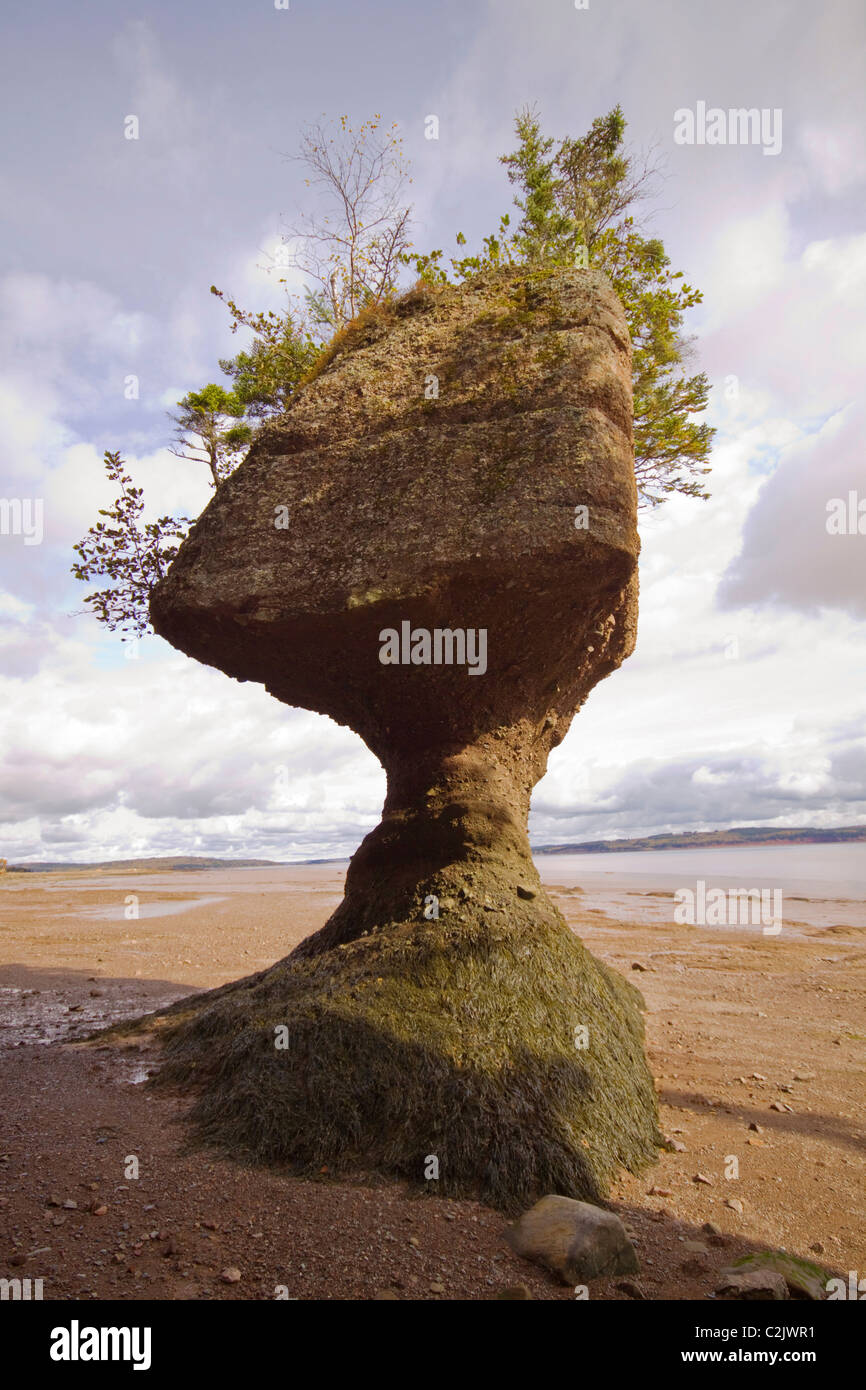 Flower pot rock hi-res stock photography and images - Alamy