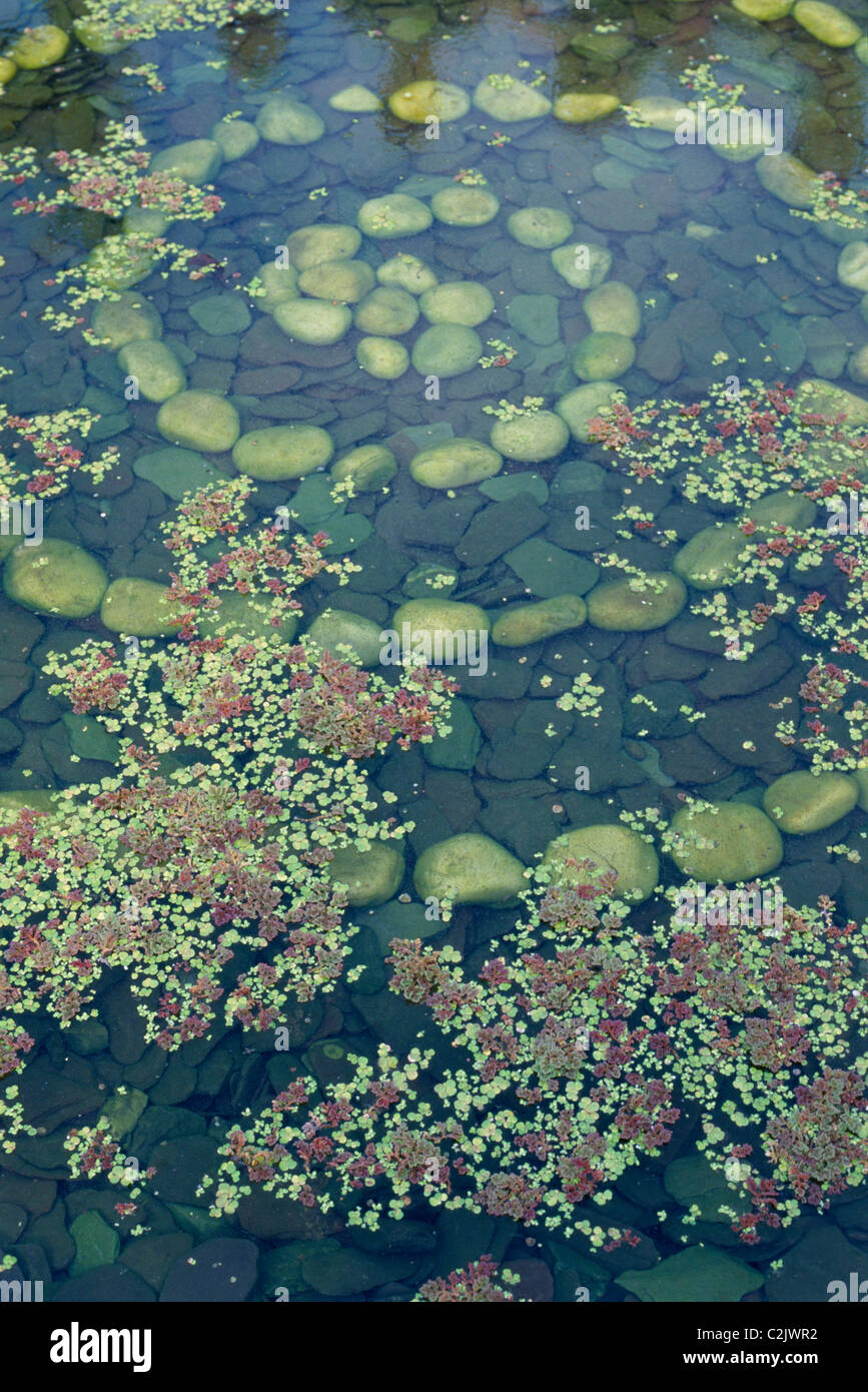 Pond with a circular stone circle at the bottom Stock Photo - Alamy