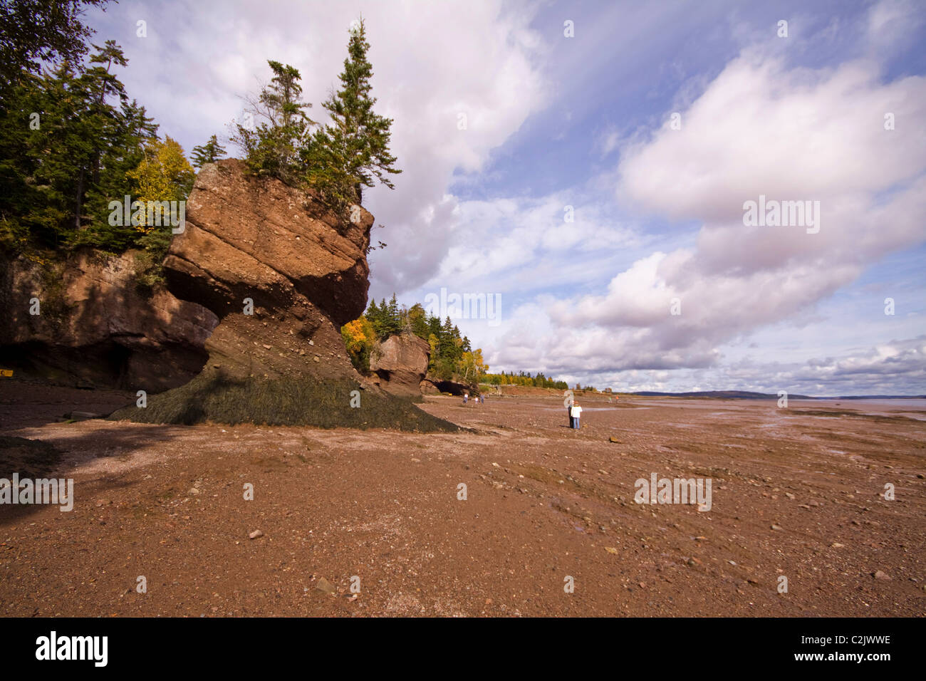 Flower Pot Rocks and beach at low tide, Hopewell Rocks, Bay of Fundy ...