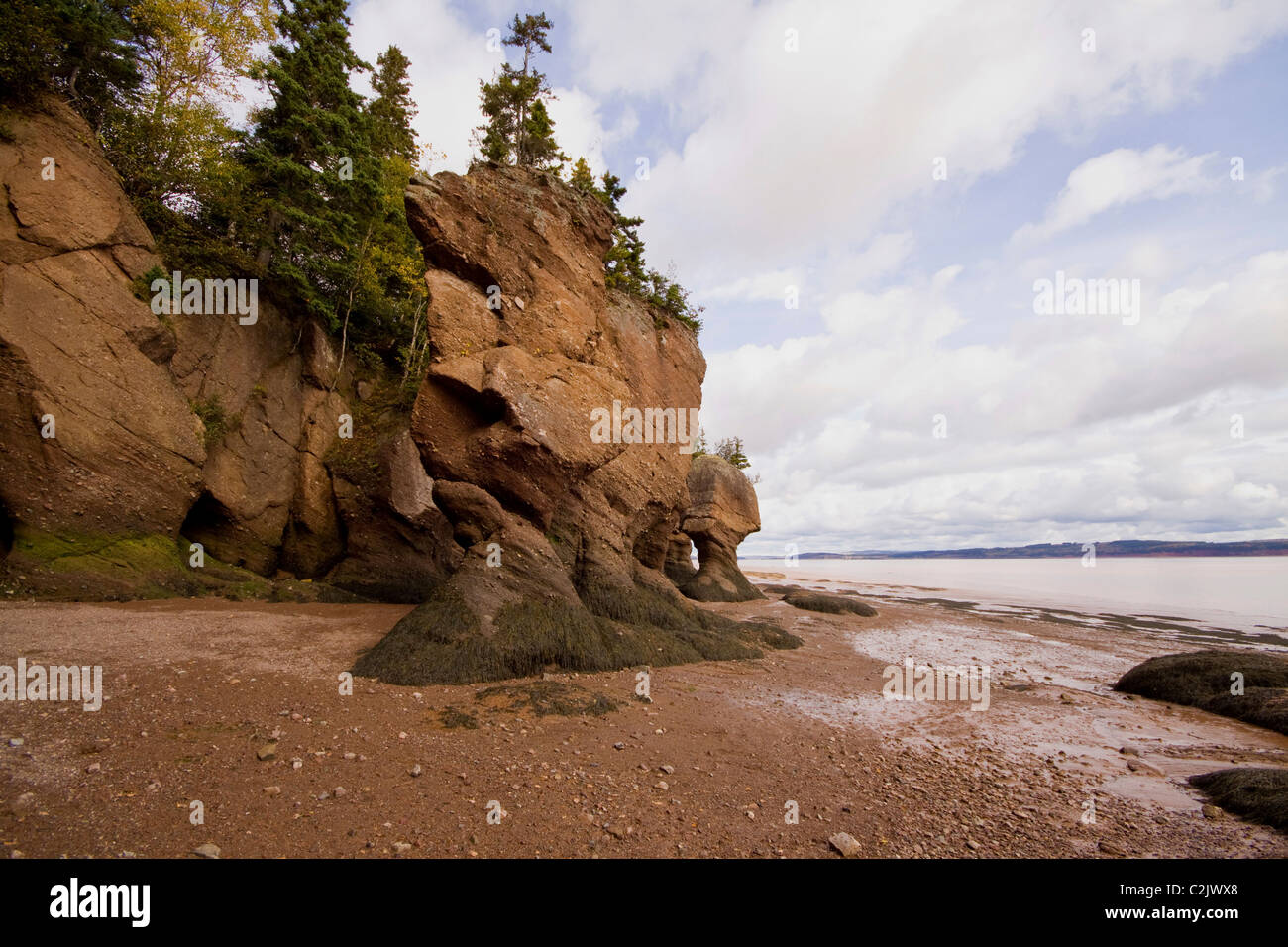 Including the rock hi-res stock photography and images - Alamy